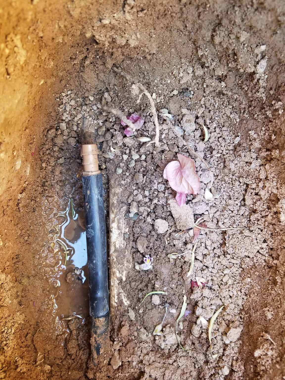 How to Fix a Broken Drip Line - Puffs Ruffs N' Stuffs