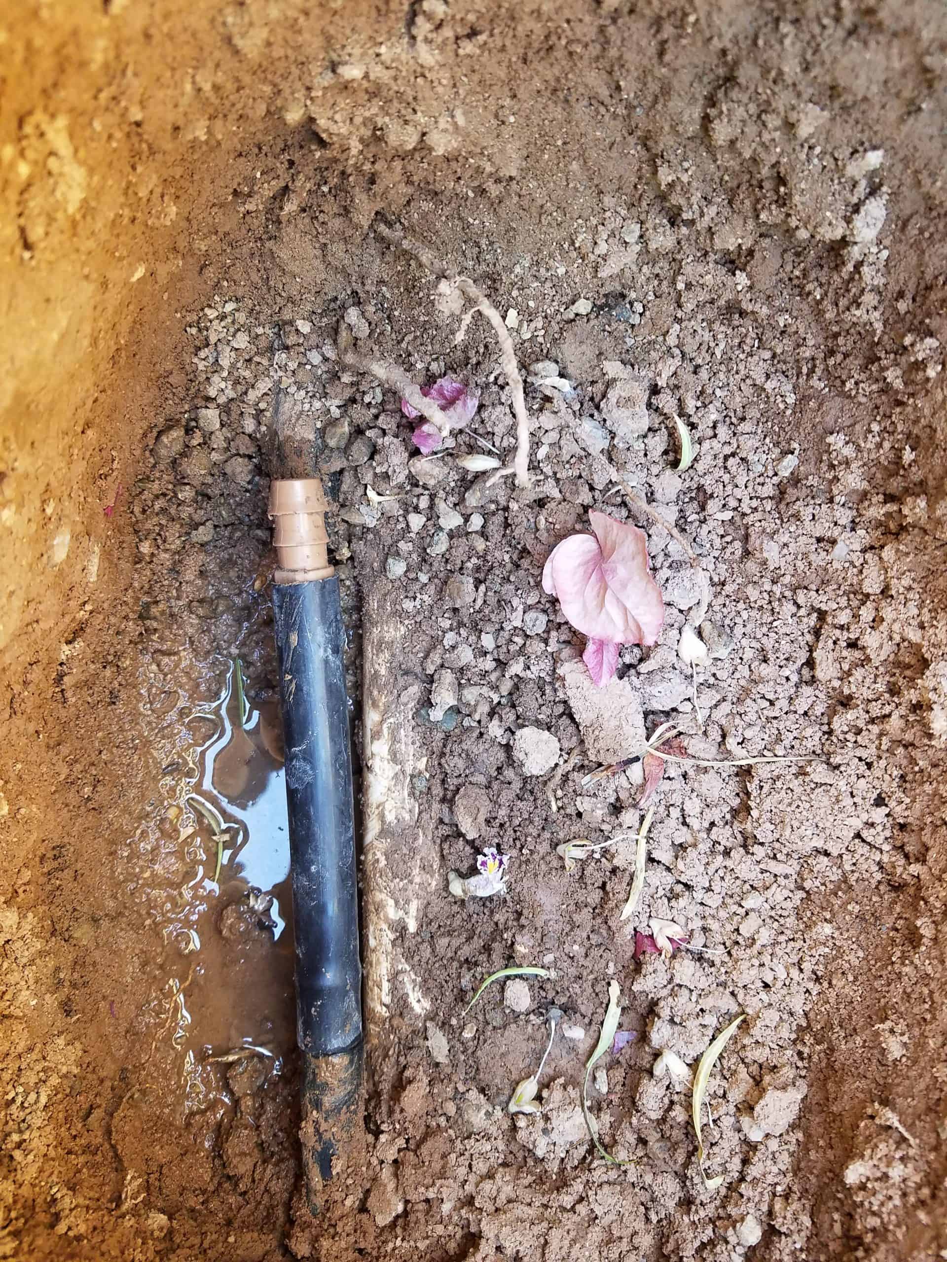 How to Fix a Broken Drip Line - Puffs Ruffs N' Stuffs